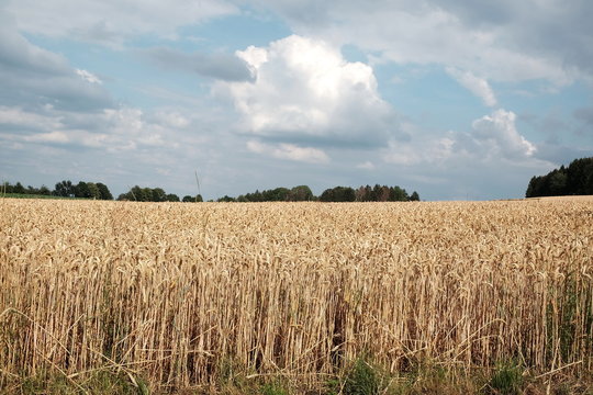 Nartur Bilder – Durchsuchen 64 Archivfotos, Vektorgrafiken und Videos ...