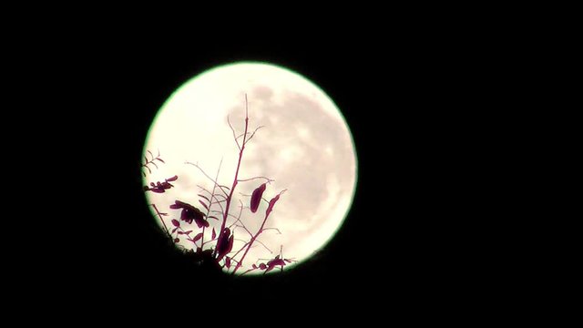 "Silver Moon" Images – Browse 249 Stock Photos, Vectors, and Video ...