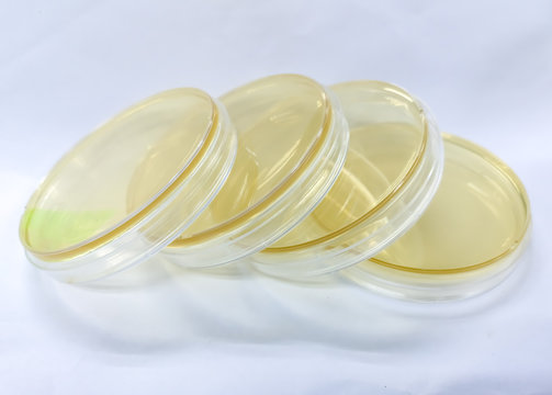 "Nutrient Agar" Images – Browse 449 Stock Photos, Vectors, and Video ...