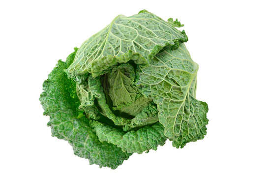 Kail-Bilder: Stock-Fotos & -Videos. | Adobe Stock