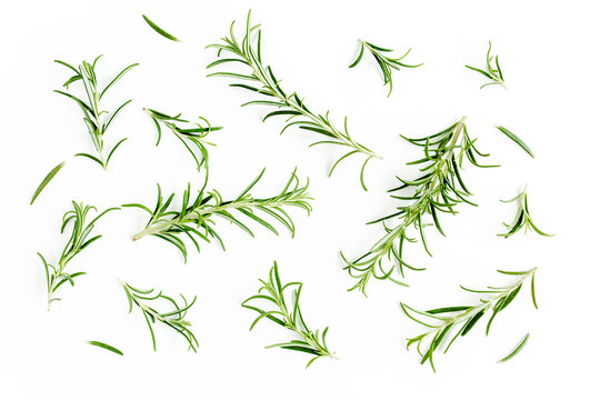 Rosemary Background Images – Browse 438,408 Stock Photos, Vectors, and ...