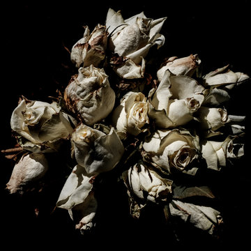 Bouquet Of Dead Flowers Images – Browse 14,482 Stock Photos, Vectors ...
