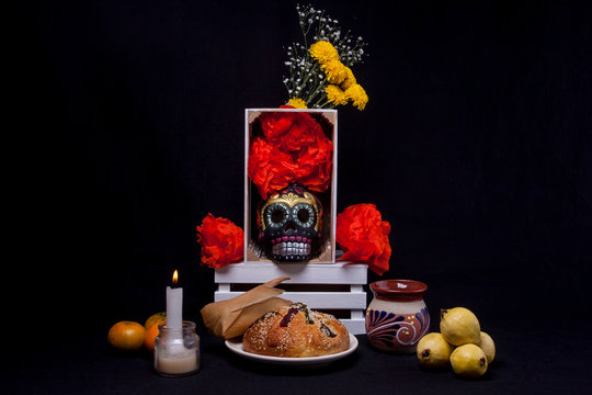 Guacal Images – Browse 48 Stock Photos, Vectors, and Video | Adobe Stock