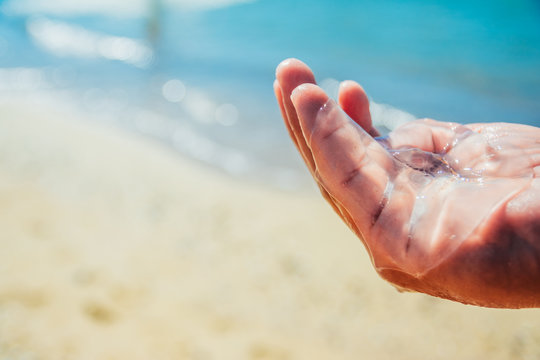 Transpatent Images – Browse 285 Stock Photos, Vectors, and Video ...