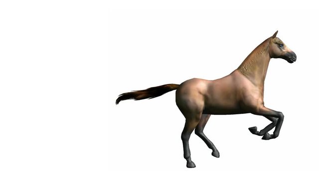 "Horse Galloping" Images – Browse 2,566 Stock Photos, Vectors, and Video | Adobe Stock