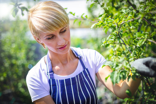 รูปภาพGarder – เลือกดูภาพถ่ายสต็อก เวกเตอร์ และวิดีโอ1,720 | Adobe Stock