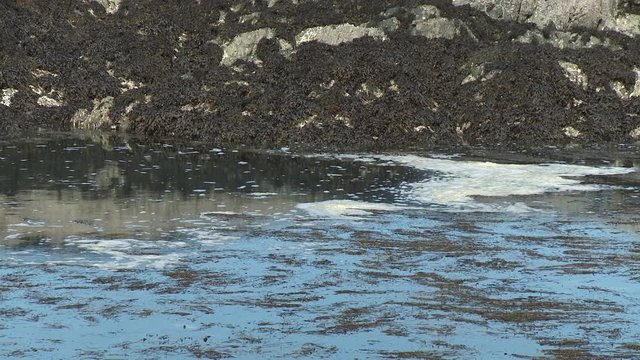 Imagens de Haptera – Explore Fotografias do Stock, Vetores e Vídeos de ...