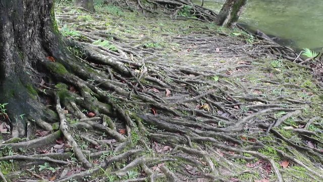 Dain Images – Browse 284 Stock Photos, Vectors, and Video | Adobe Stock