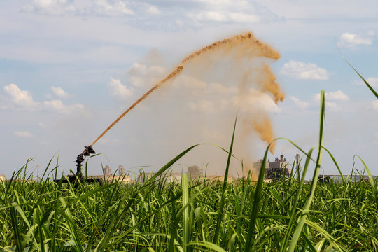 Vinasse-Bilder: Stock-Fotos & -Videos. | Adobe Stock