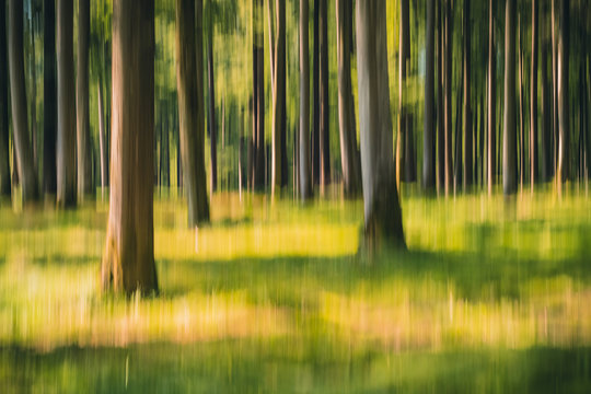 「Icm」の画像 - 1,067 件の Stock 写真、ベクターおよびビデオ | Adobe Stock