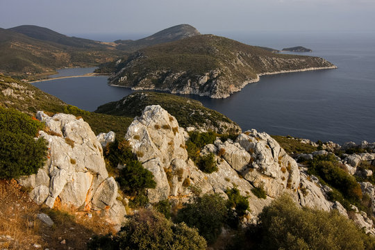 รูปภาพToroni – เลือกดูภาพถ่ายสต็อก เวกเตอร์ และวิดีโอ566 | Adobe Stock