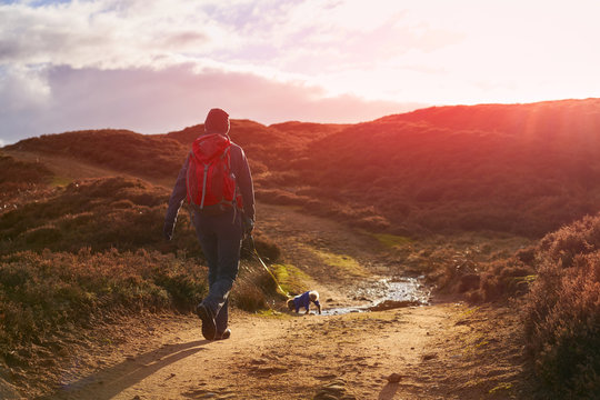 Straggly Bilder – Durchsuchen 39,578 Archivfotos, Vektorgrafiken und ...