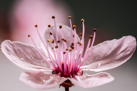 Amolo Images – Browse 23 Stock Photos, Vectors, and Video | Adobe Stock