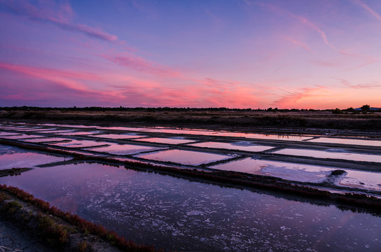 รูปภาพSalant – เลือกดูภาพถ่ายสต็อก เวกเตอร์ และวิดีโอ1,568 | Adobe Stock