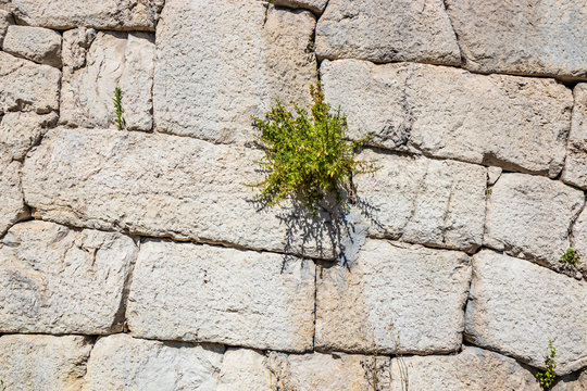 Interstice Imagens – Procure 6,941 fotos, vetores e vídeos | Adobe Stock