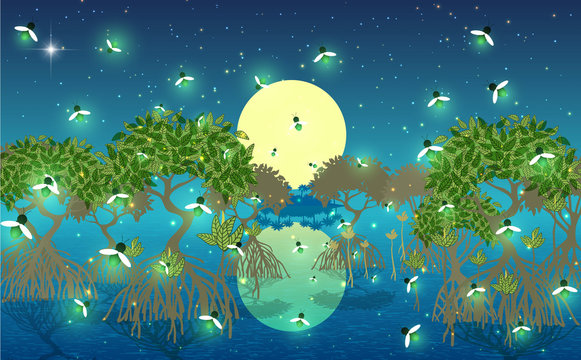 Mangrove Cartoon