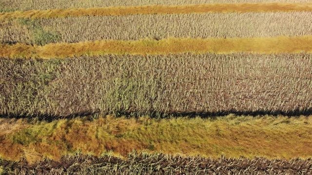 Windrows Images – Browse 3,144 Stock Photos, Vectors, and Video | Adobe ...