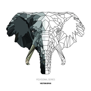 Geometric Elephant Drawing