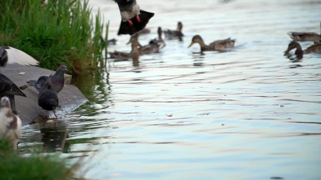 รูปภาพ1121 – เลือกดูภาพถ่ายสต็อก เวกเตอร์ และวิดีโอ150 | Adobe Stock
