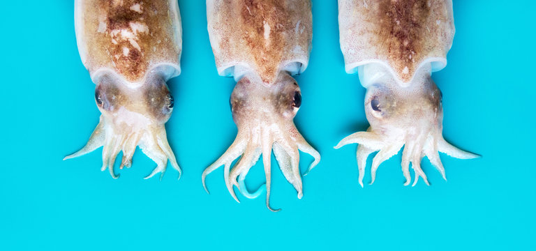 รูปภาพChopitos – เลือกดูภาพถ่ายสต็อก เวกเตอร์ และวิดีโอ98 | Adobe Stock