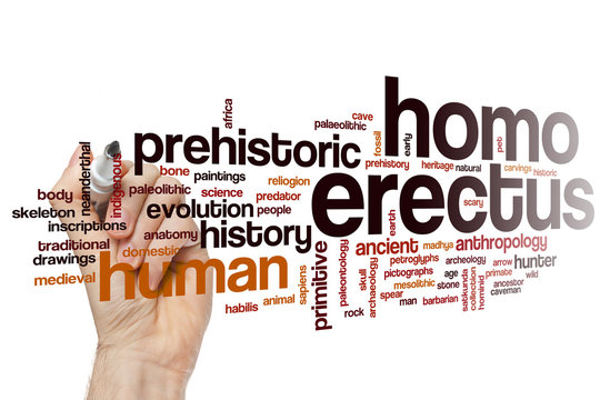 Erectus Images – Browse 1,001 Stock Photos, Vectors, and Video | Adobe ...