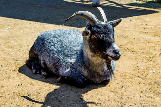 "Austin Koeckeritz" Bilder – Durchsuchen 114 Archivfotos ...