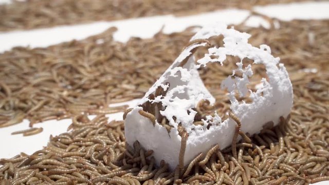 Styrofoam Images – Browse 21,472 Stock Photos, Vectors, and Video ...