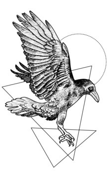 "Crow Vector" Images – Browse 143 Stock Photos, Vectors, and Video ...