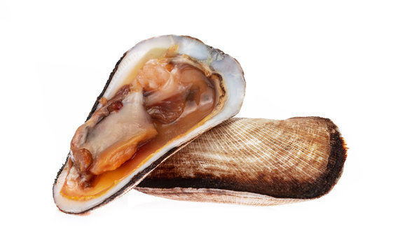 Krang Images – Browse 522 Stock Photos, Vectors, and Video | Adobe Stock