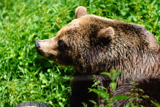 รูปภาพArbe – เลือกดูภาพถ่ายสต็อก เวกเตอร์ และวิดีโอ408 | Adobe Stock