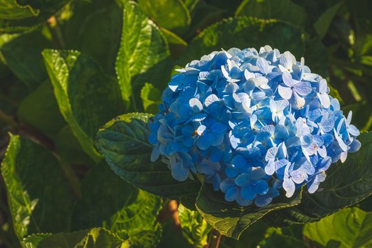 Ivrin photos, images, assets | Adobe Stock