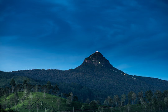 「Siripade」の画像 - 54 件の Stock 写真、ベクターおよびビデオ | Adobe Stock