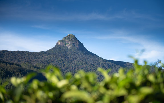 Siripade Images – Browse 54 Stock Photos, Vectors, and Video | Adobe Stock