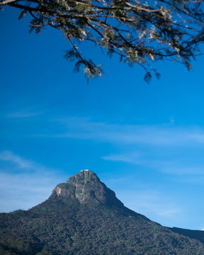 Siripade Images – Parcourir 54 le catalogue de photos, vecteurs et ...