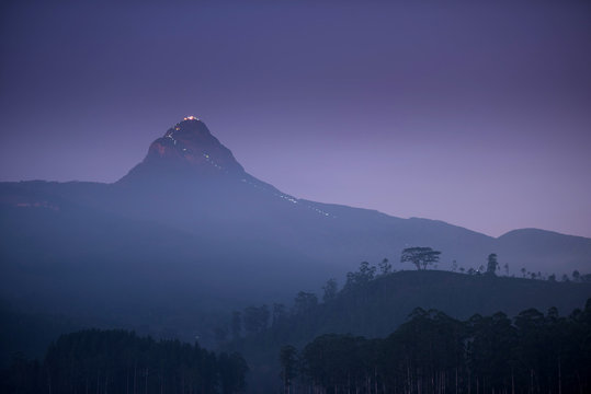 Siripade - Images et vidéos libres de droits | Adobe Stock
