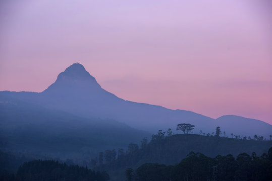 Siripade Images – Browse 52 Stock Photos, Vectors, and Video | Adobe Stock