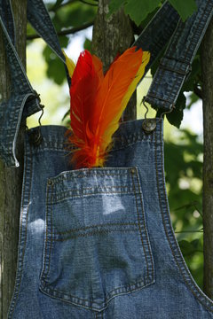 Peteca Images – Browse 51 Stock Photos, Vectors, and Video | Adobe Stock