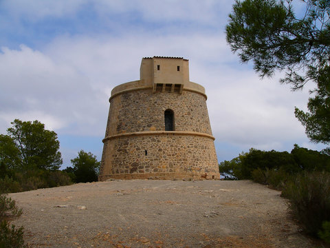 Vit photos, images, assets | Adobe Stock