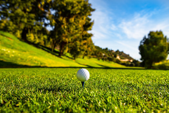 Divot Images – Browse 1,295 Stock Photos, Vectors, and Video | Adobe Stock