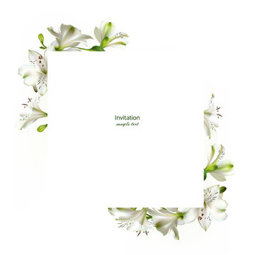 13,976 BEST Lily Border IMAGES, STOCK PHOTOS & VECTORS | Adobe Stock