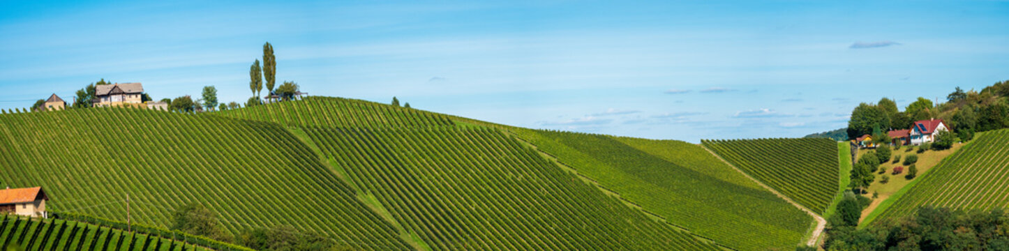 Winzerei bilder – Bläddra bland 1,016 stockfoton, vektorer och videor ...