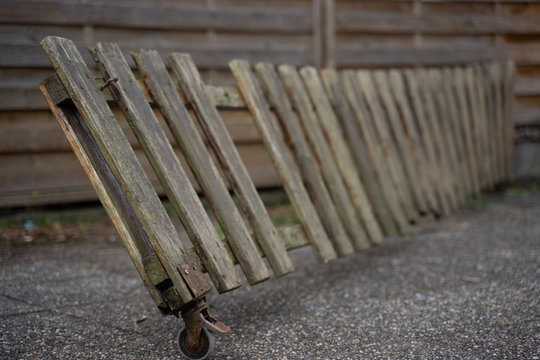 รูปภาพ"Krummer – เลือกดูภาพถ่ายสต็อก เวกเตอร์ และวิดีโอ115 | Adobe Stock