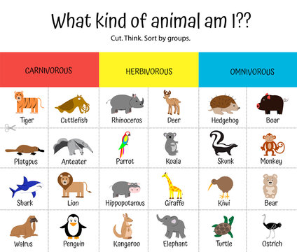 Omnivore Animals Chart