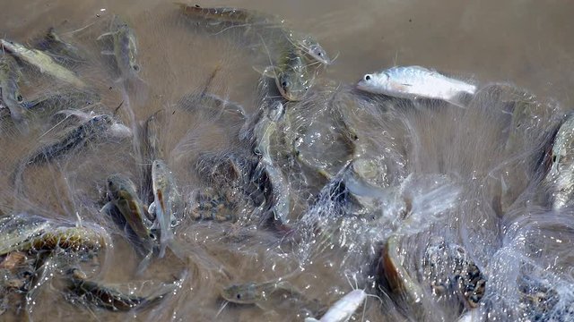 Verstrickt Bilder – Durchsuchen 458 Archivfotos, Vektorgrafiken und ...