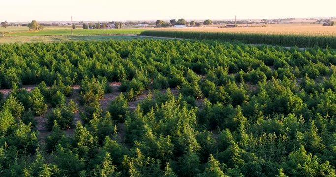 Abaca Images – Browse 466 Stock Photos, Vectors, and Video | Adobe Stock