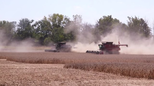 Dusty Images – Browse 172,098 Stock Photos, Vectors, and Video | Adobe ...