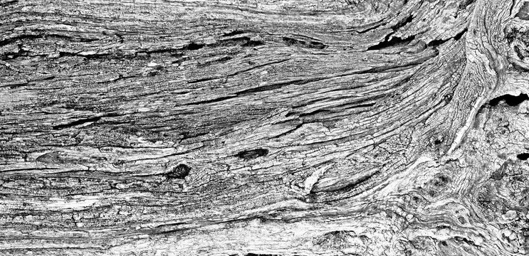 Nodulous Images – Browse 14 Stock Photos, Vectors, and Video | Adobe Stock