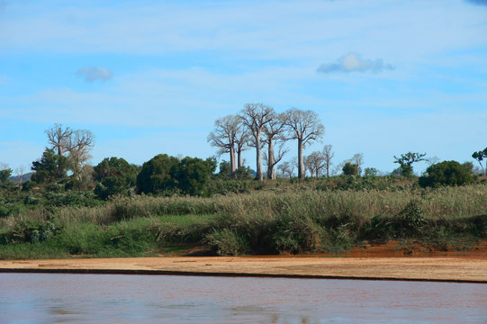 Imagens de Menabe – Explore Fotografias do Stock, Vetores e Vídeos de ...