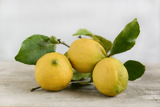 「Cytryny」の画像 - 744 件の Stock 写真、ベクターおよびビデオ | Adobe Stock