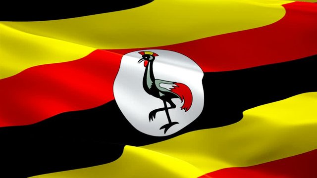 Swahili Coast Flag